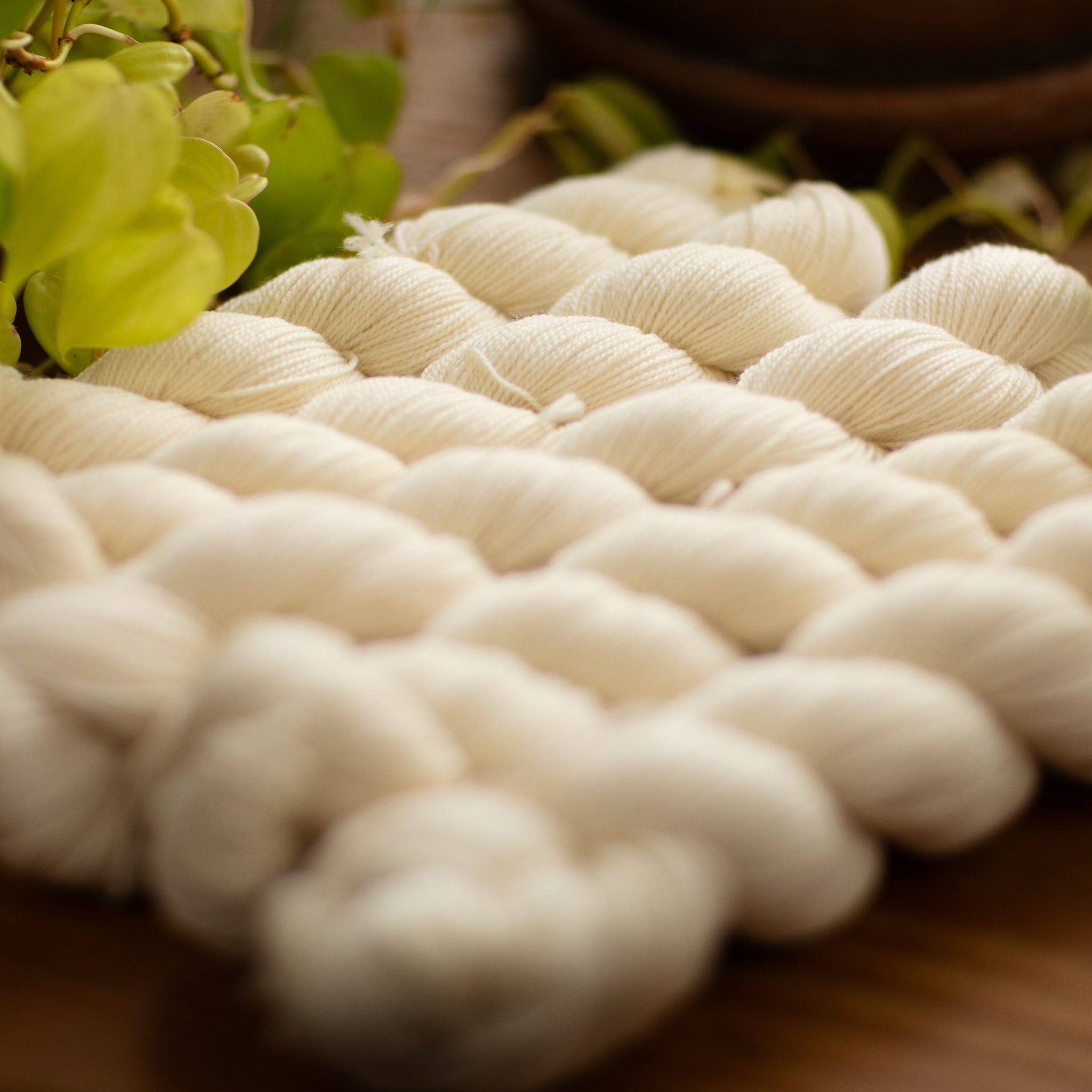 SPIN SPUN from Spincycle Yarns