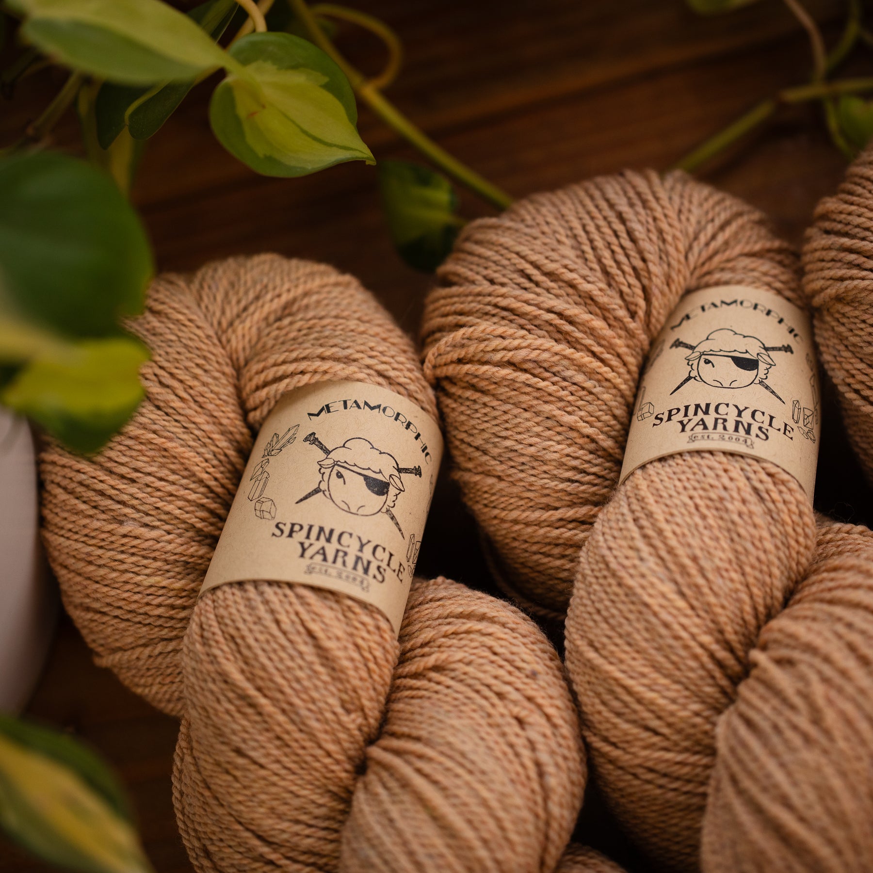 METAMORPHIC – Spincycle Yarns