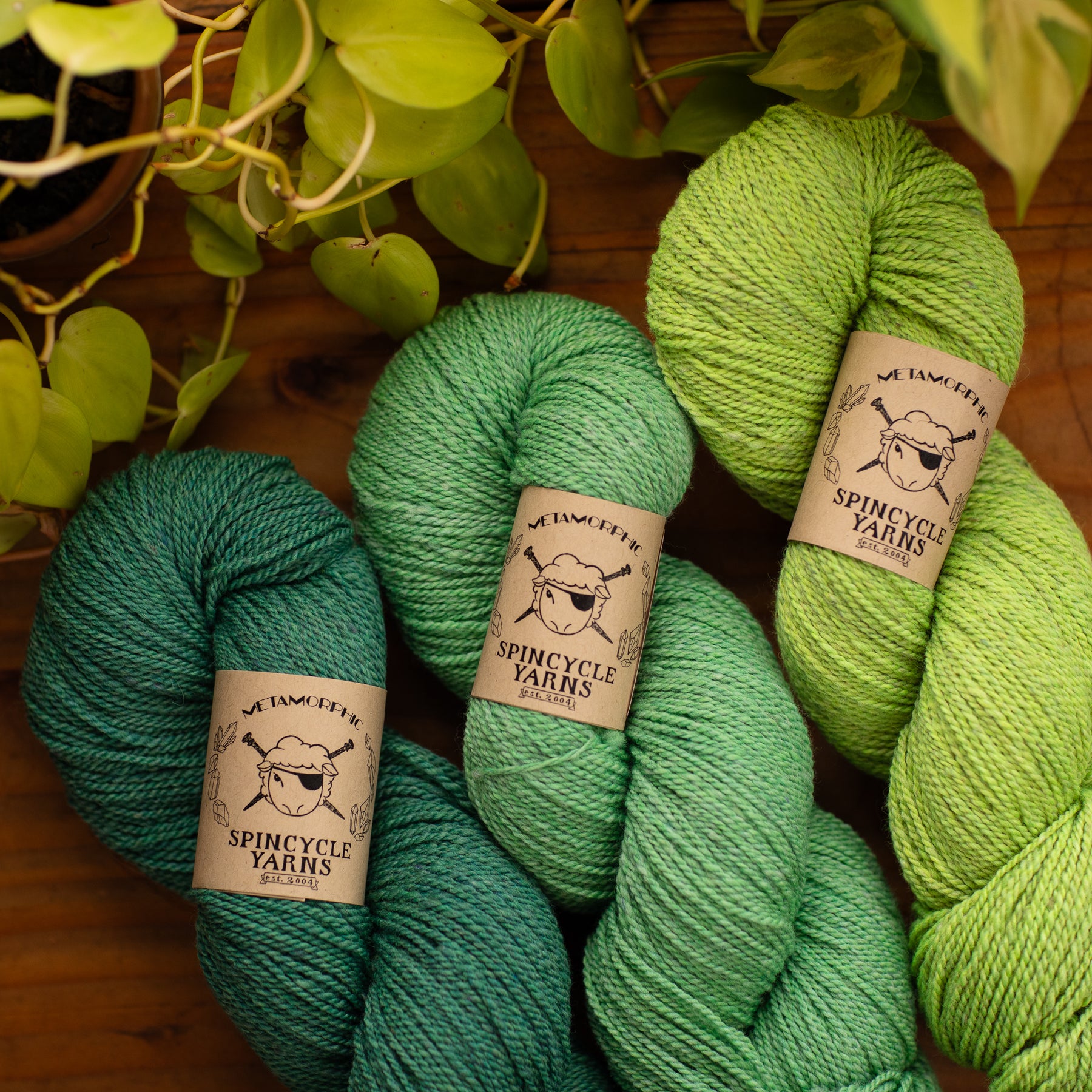 METAMORPHIC – Spincycle Yarns
