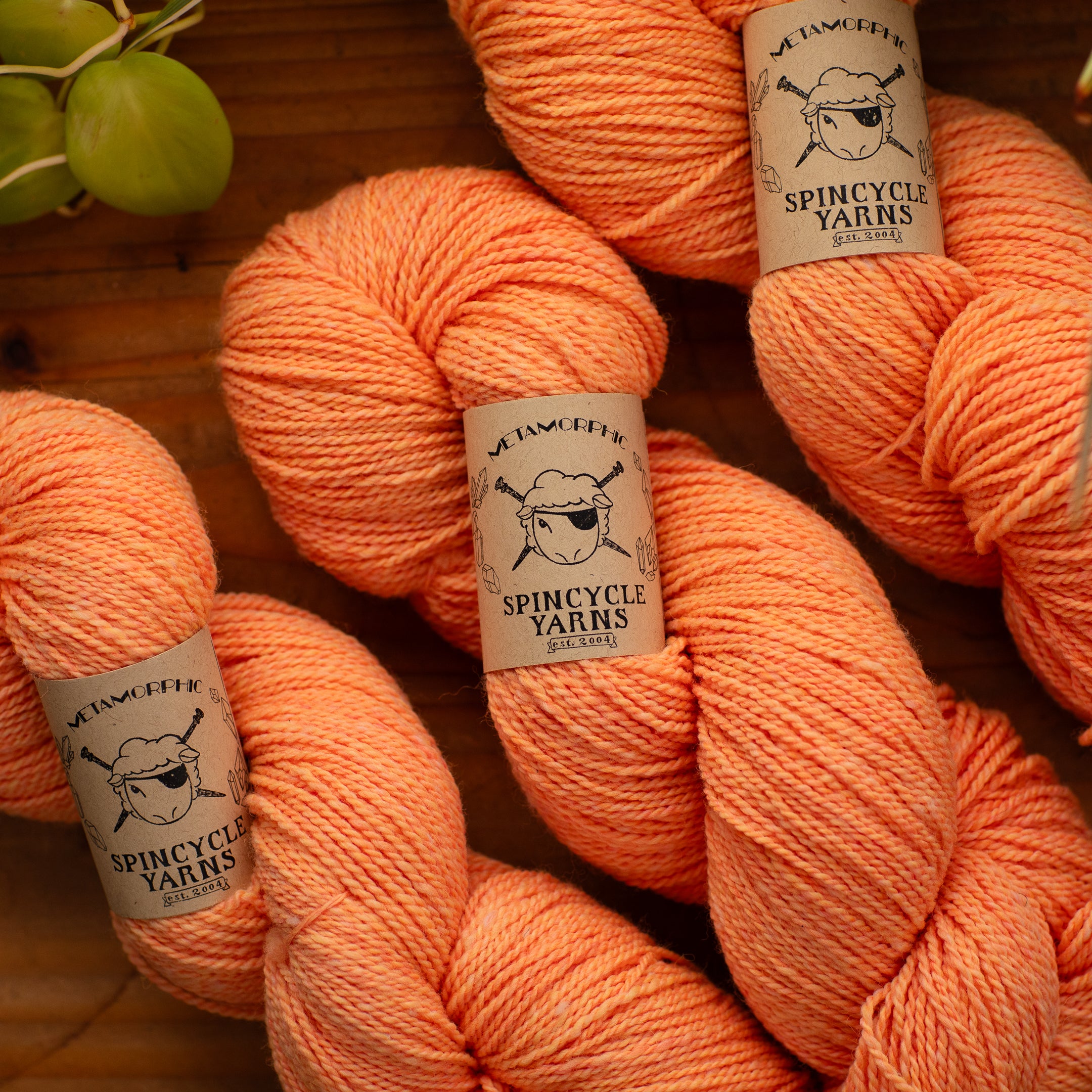 METAMORPHIC – Spincycle Yarns