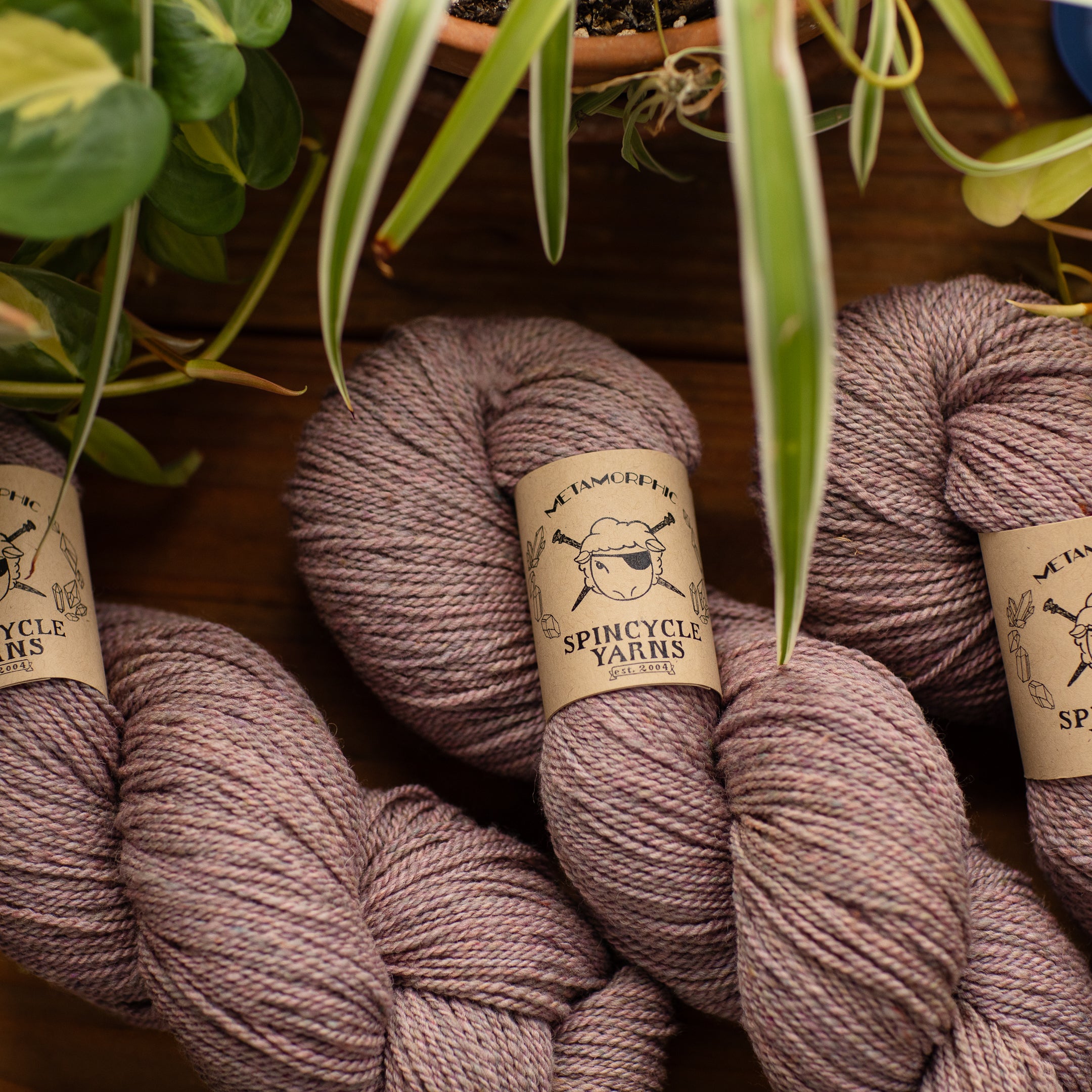 METAMORPHIC – Spincycle Yarns