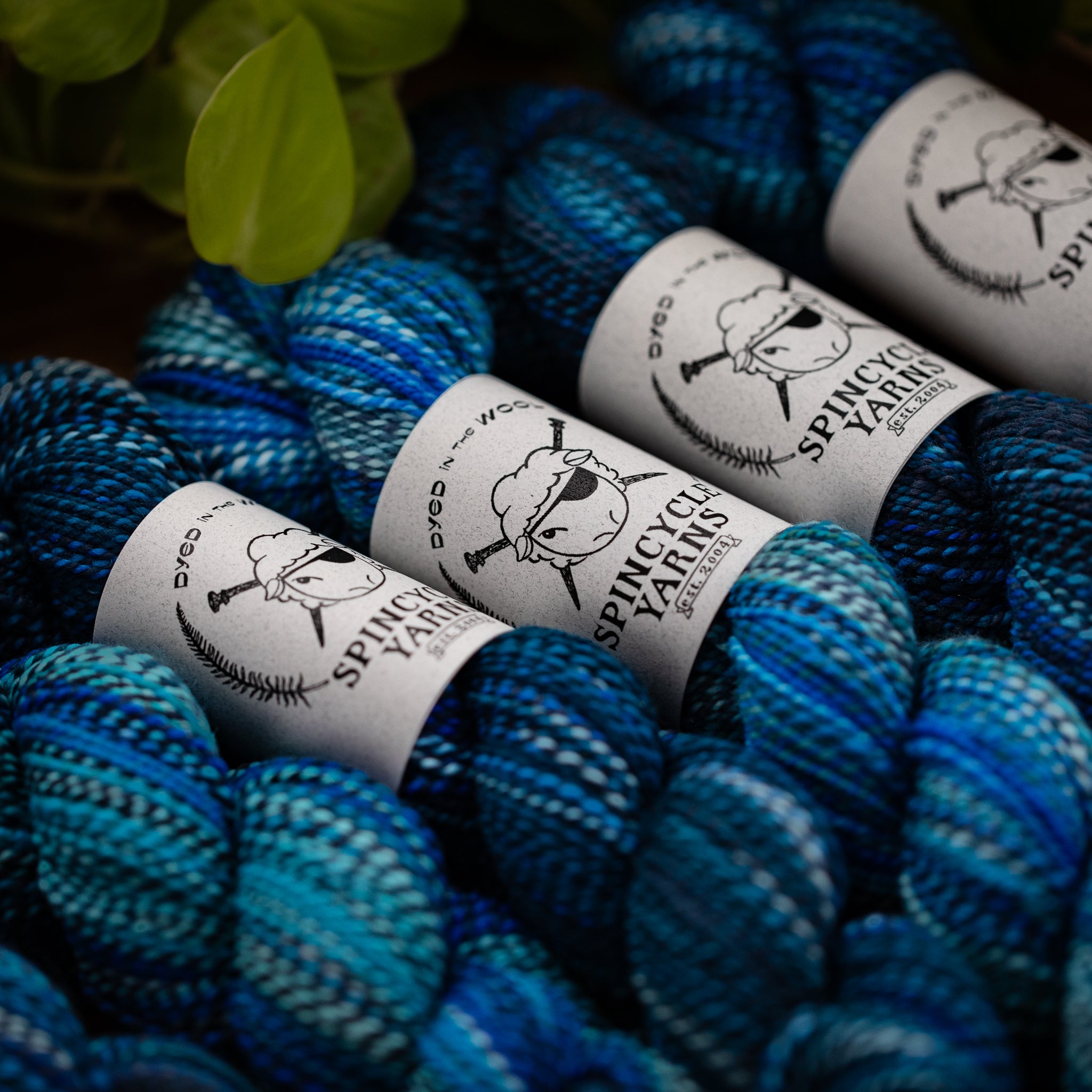 OPEN WATER - Dyed In The Wool – Spincycle Yarns