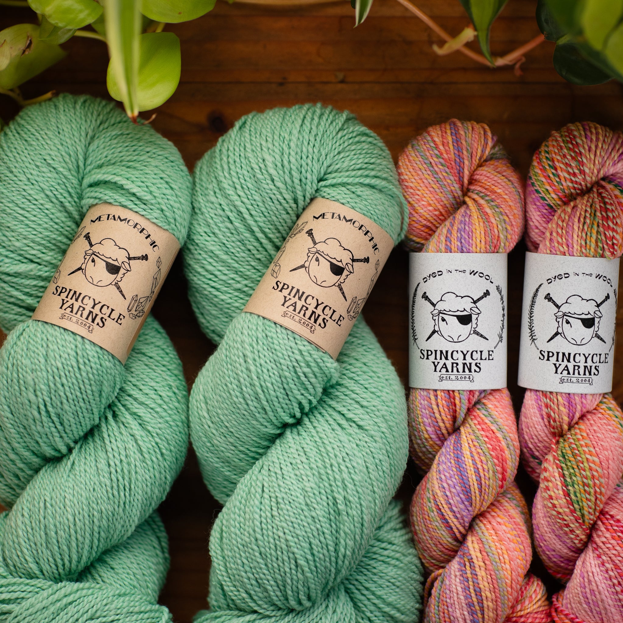 METAMORPHIC – Spincycle Yarns