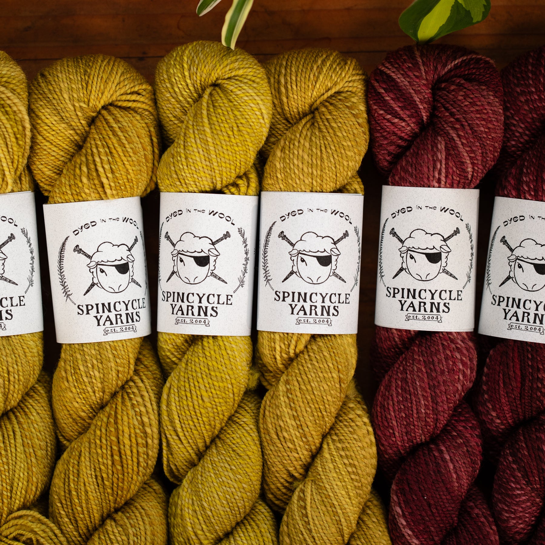 KITS & BUNDLES – Spincycle Yarns