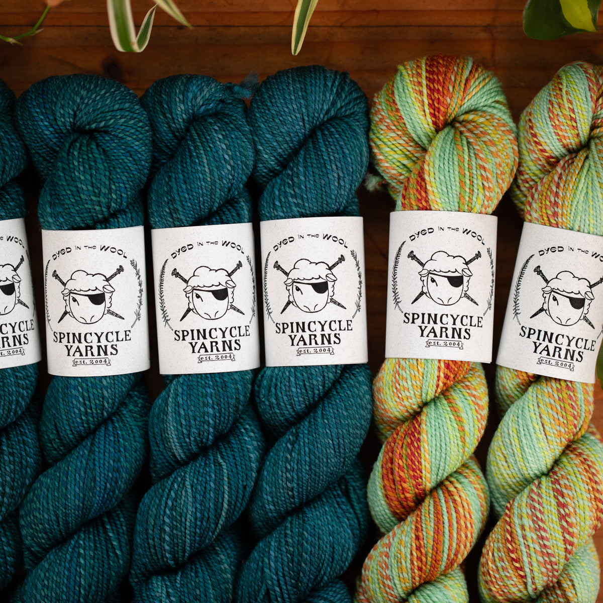 KITS & BUNDLES – Spincycle Yarns