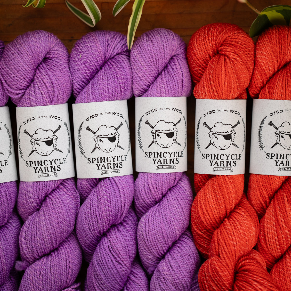 KITS & BUNDLES – Spincycle Yarns