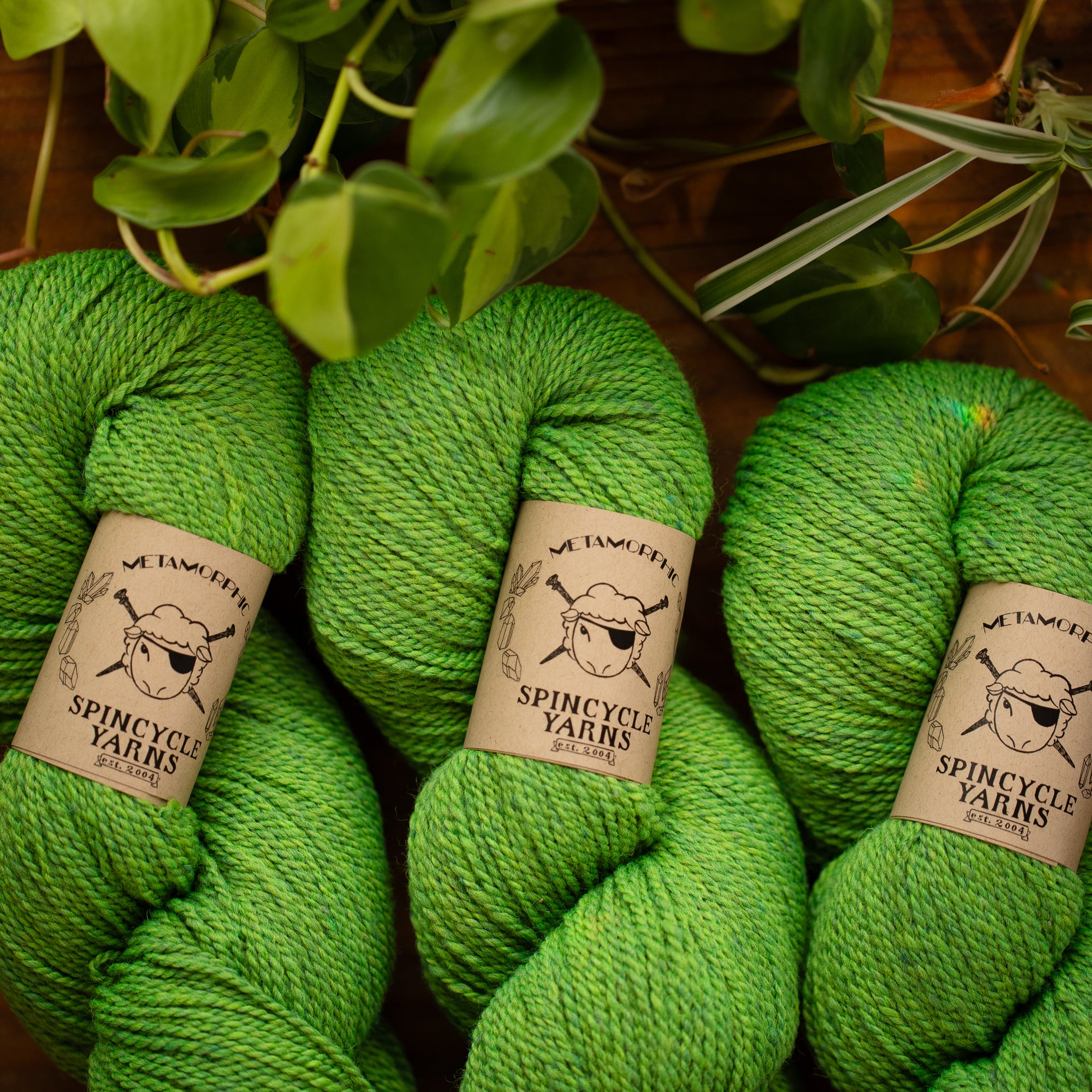 METAMORPHIC – Spincycle Yarns