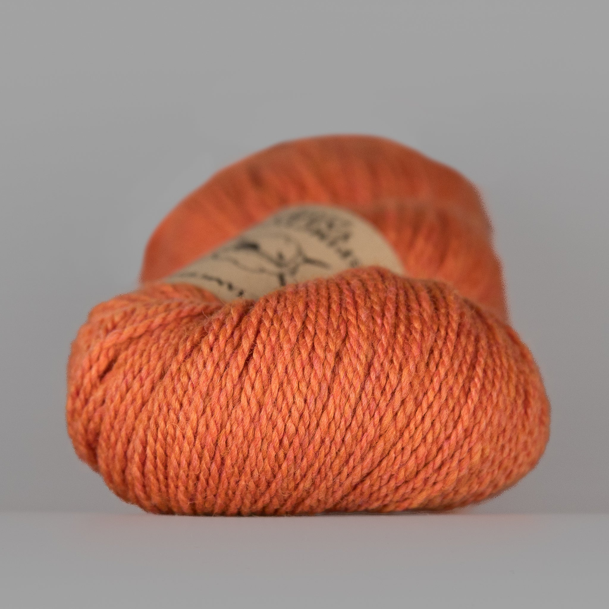 Cantaloupe Orange No.1 - Metamorphic – Spincycle Yarns